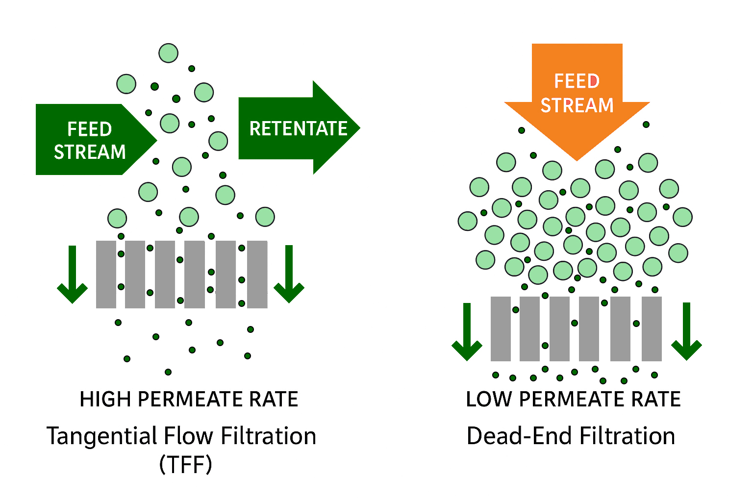 Tangential Flow Filtration System - TFF Manufacturers in India
