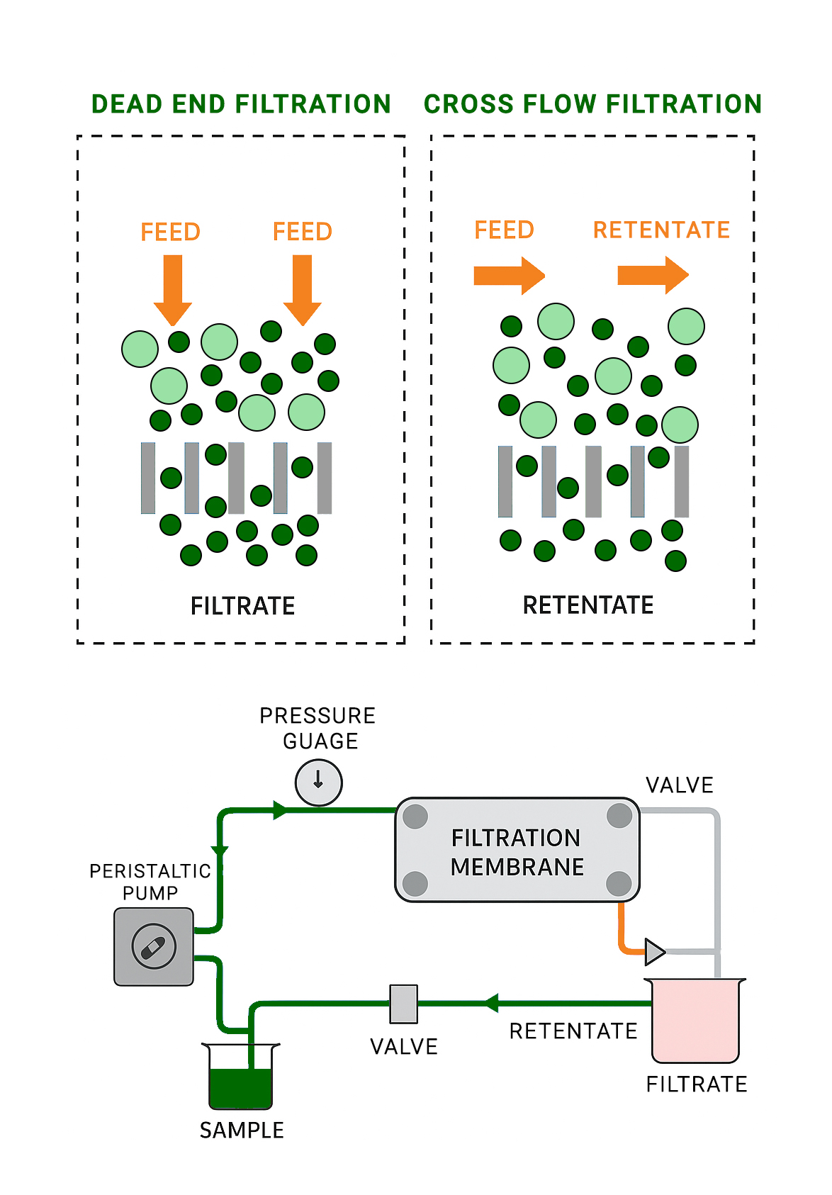 Tangential Flow Filtration System - TFF Manufacturers in India