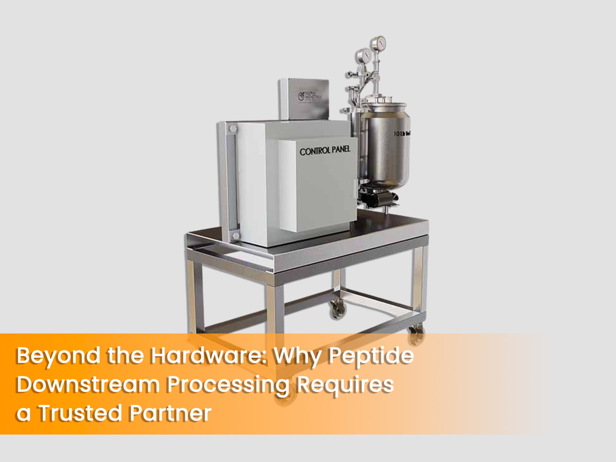 Peptide Downstream Processing: Why a Trusted Partner Matters